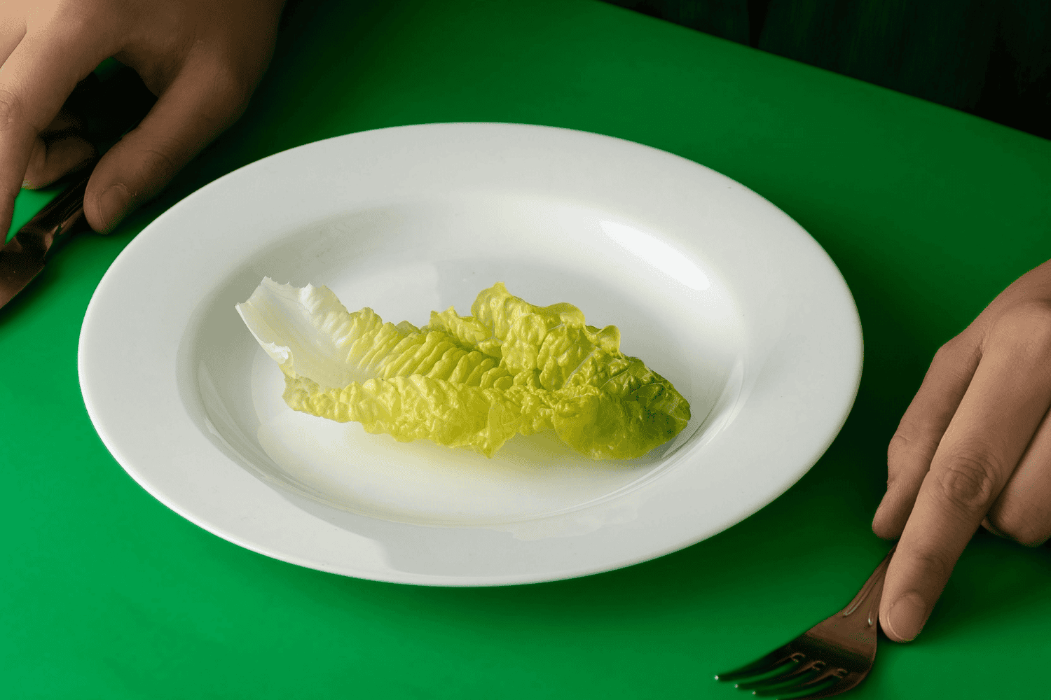 Dieta Y Salud Por Qué Comer Bien Es Más Poderoso Que Cualquier